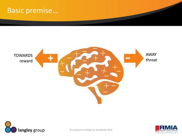 Neuroscience of hazard awareness - Sue Langley | PDF | Brain and Nervous System Disorders ...