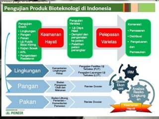 4 Tanaman Rekayasa Genetik dan GMO.pptx.pdf