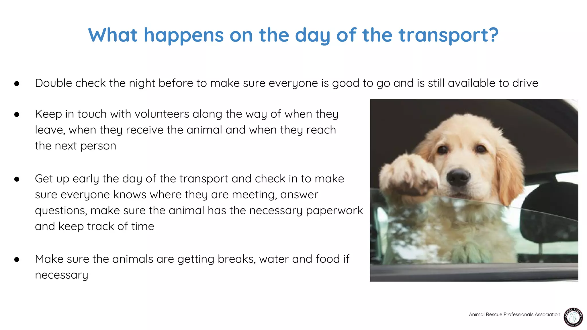 Episode 17 & 18 – Jessica, Kelsey, Ginger and Monica, Transport Coordinators | PPT