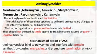 Tetracyclines & Aminoglycosides and macrolides .pptx