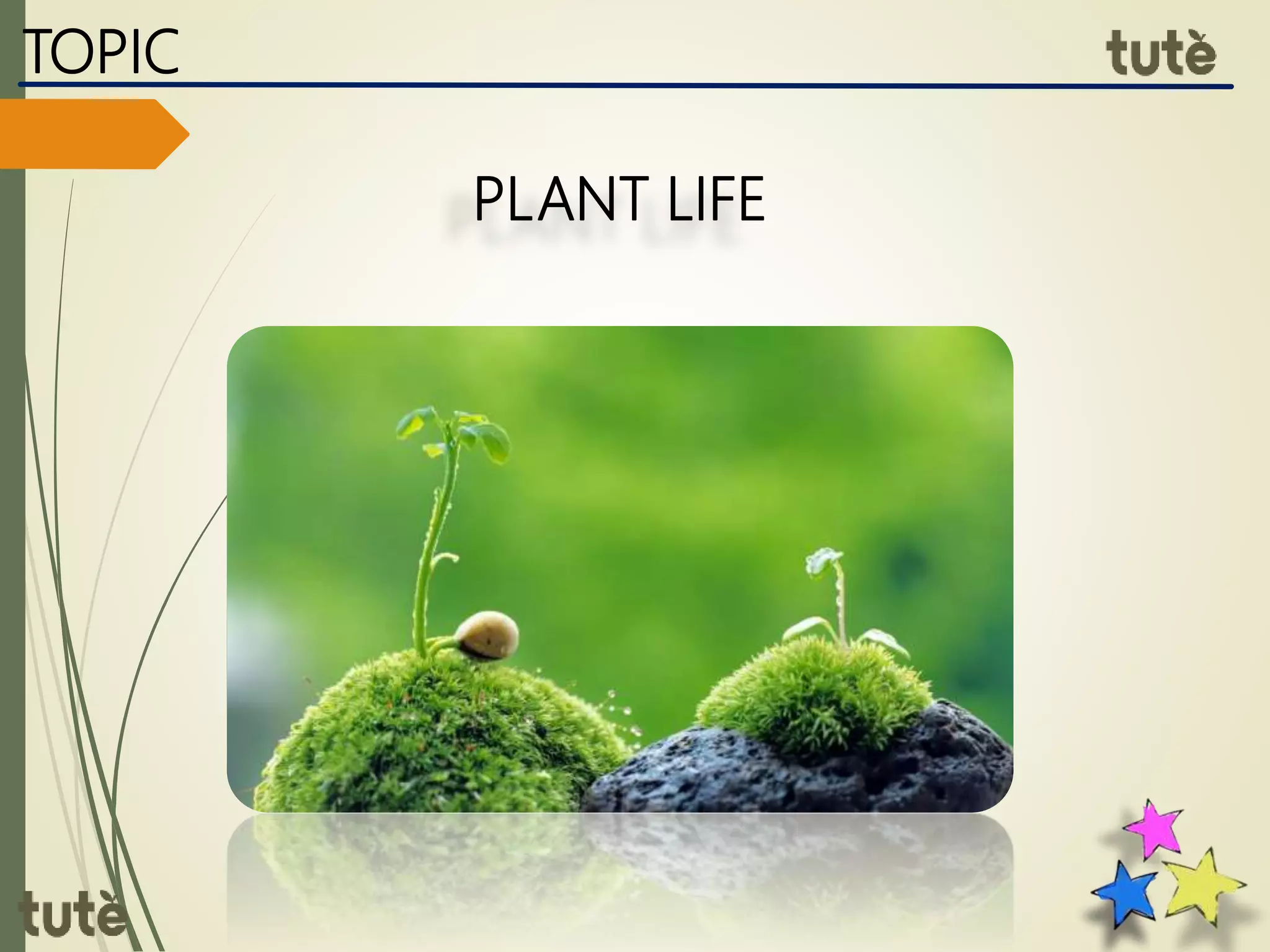 4th cbse - plant life - science. | PPTX
