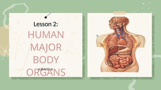 4TH-EXPERIMENT Science organs of the body.pptx