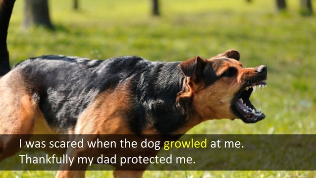 Lesson 27 - The Dog that Dug for Dinosaurs - 2019 | PPT