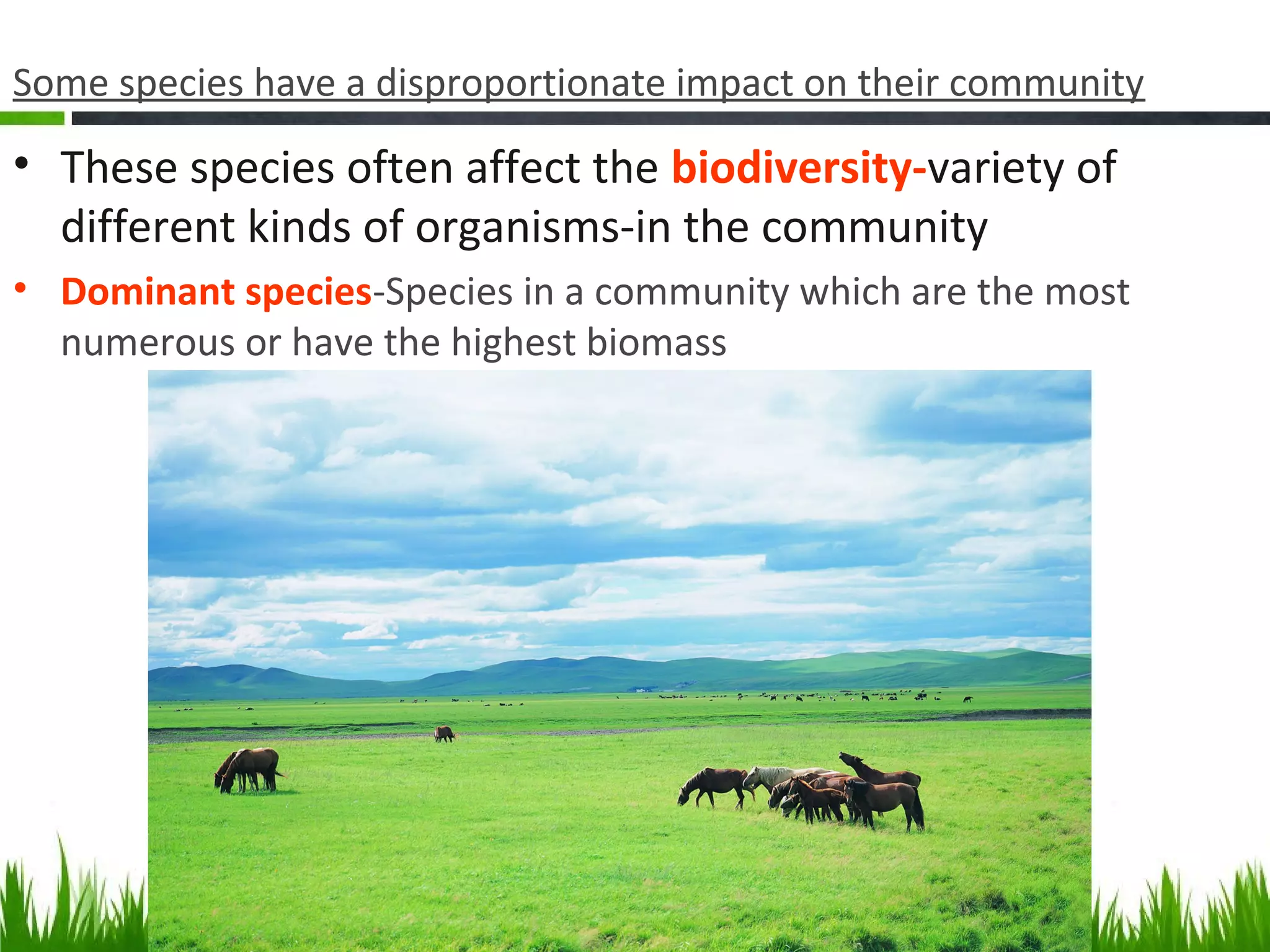 AP Biology Community Ecology | PPT