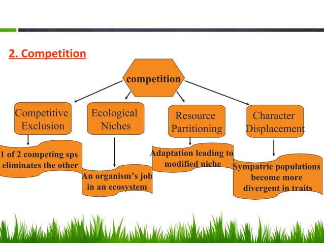 AP Biology Community Ecology | PPT