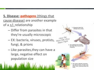 Community Examples Ecology