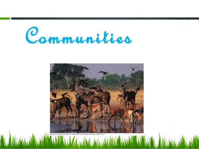 Biological Community Examples
