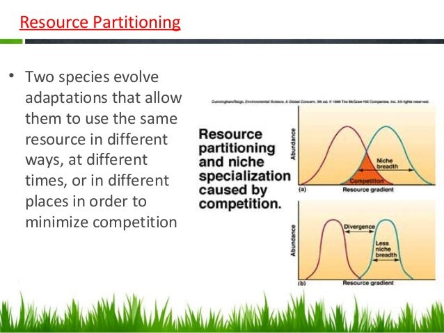 AP Biology Community Ecology