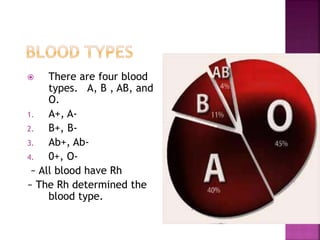 circulatory_system | PPT