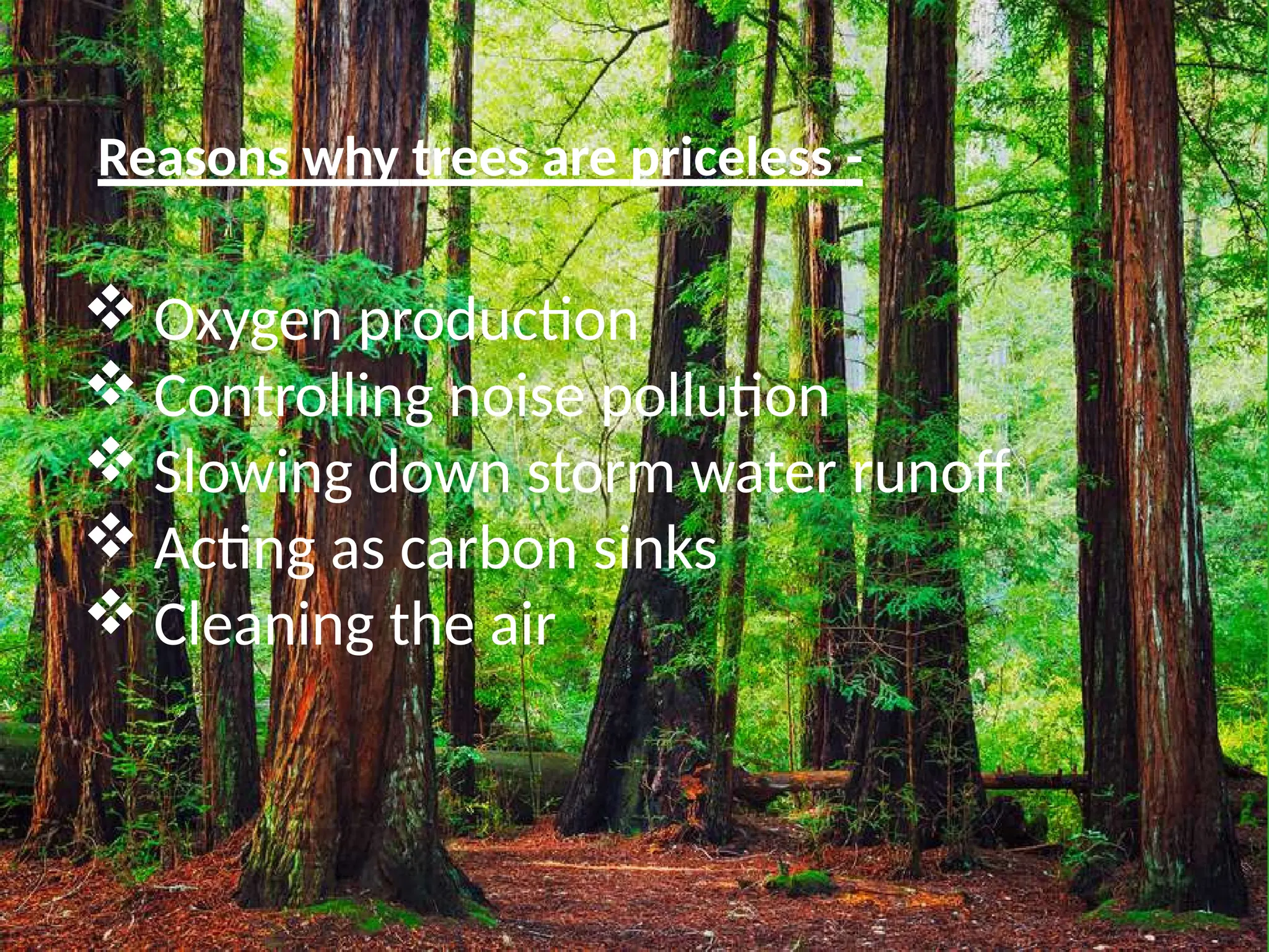 save trees PowerPoint Templates to promote environmental awareness and ...
