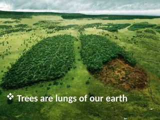 save trees PowerPoint Templates to promote environmental awareness and ...
