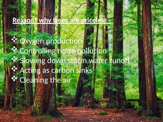 save trees PowerPoint Templates to promote environmental awareness and ...