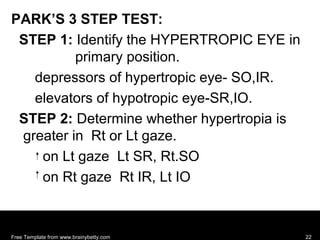 4th cranial nerve | PPT