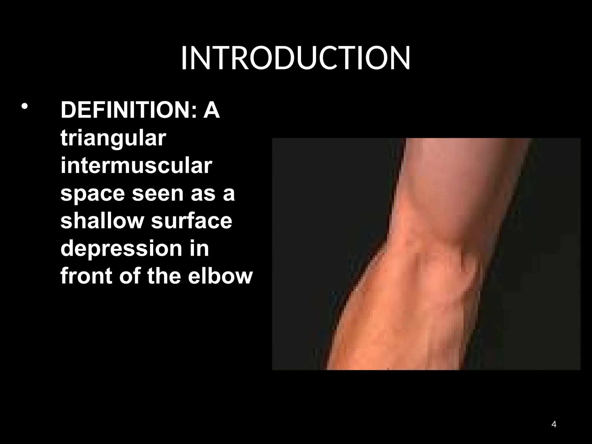 GROSS ANATOMY OF THE CUBITAL FOSSA &.pptx