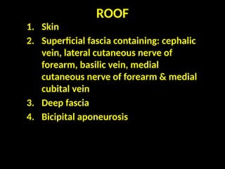 GROSS ANATOMY OF THE CUBITAL FOSSA &.pptx