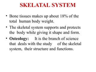 4 Axial Skeleton different bones & location | PPT