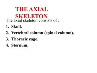 4 Axial Skeleton different bones & location | PPTX