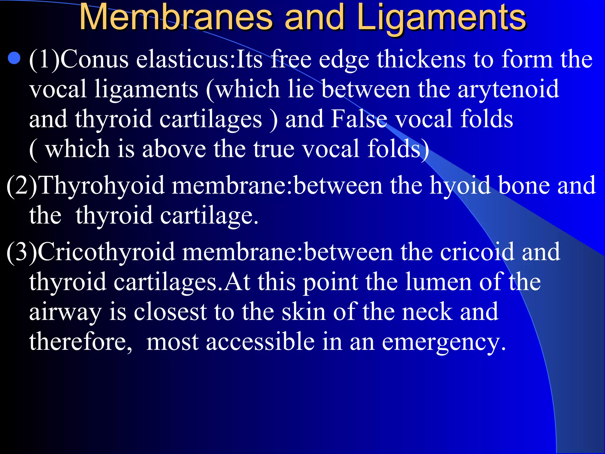 4 the larynx(anatomy) | PPT