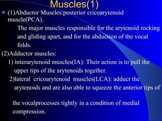 4 the larynx(anatomy) | PPT