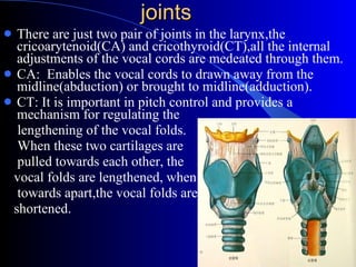 4 the larynx(anatomy) | PPT