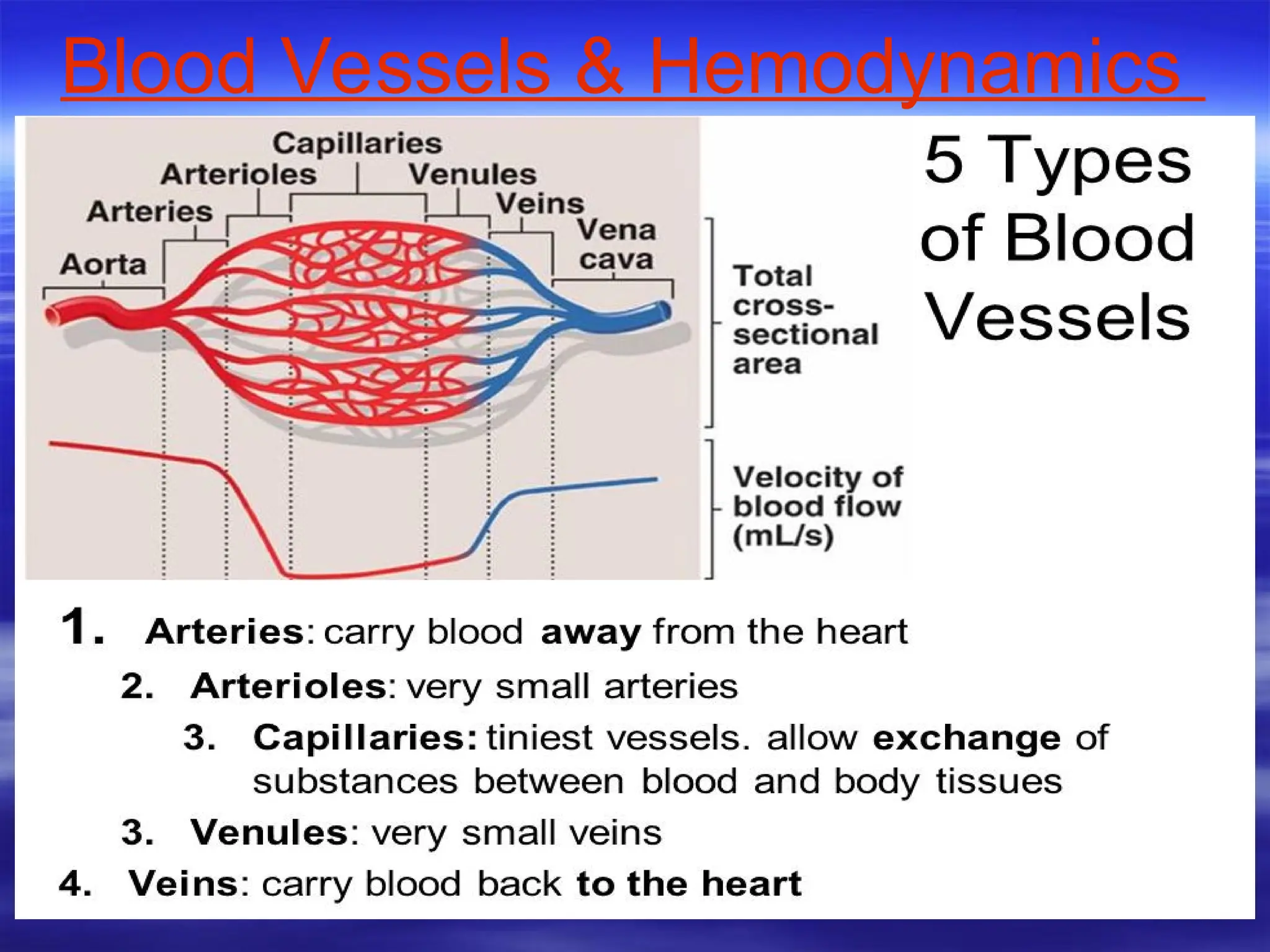№4_The main indicators and patterns of hemodynamics. Classification and ...