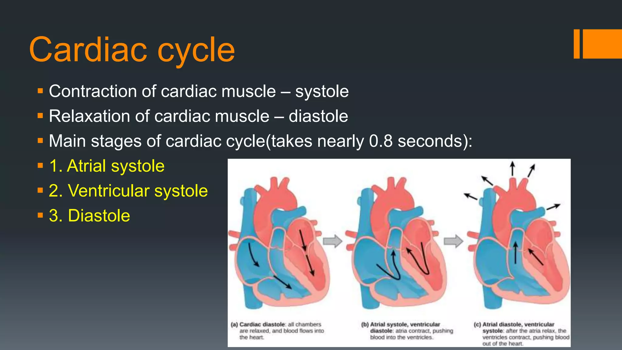 AS Biology-The mammalian heart | PPTX