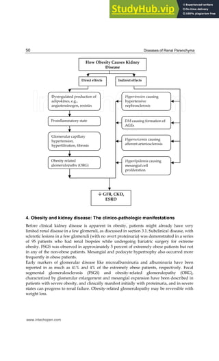 4 The Obesity Epidemic And Kidney Disease A Literature Review | PDF