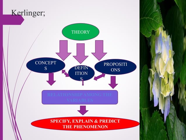 Theories & models of Management in ppt use in ANP and Management | PPT ...