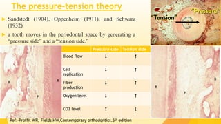 theories of tooth movement | PPTX