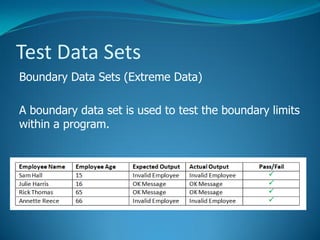 4. The Software Development Process - Testing | PDF
