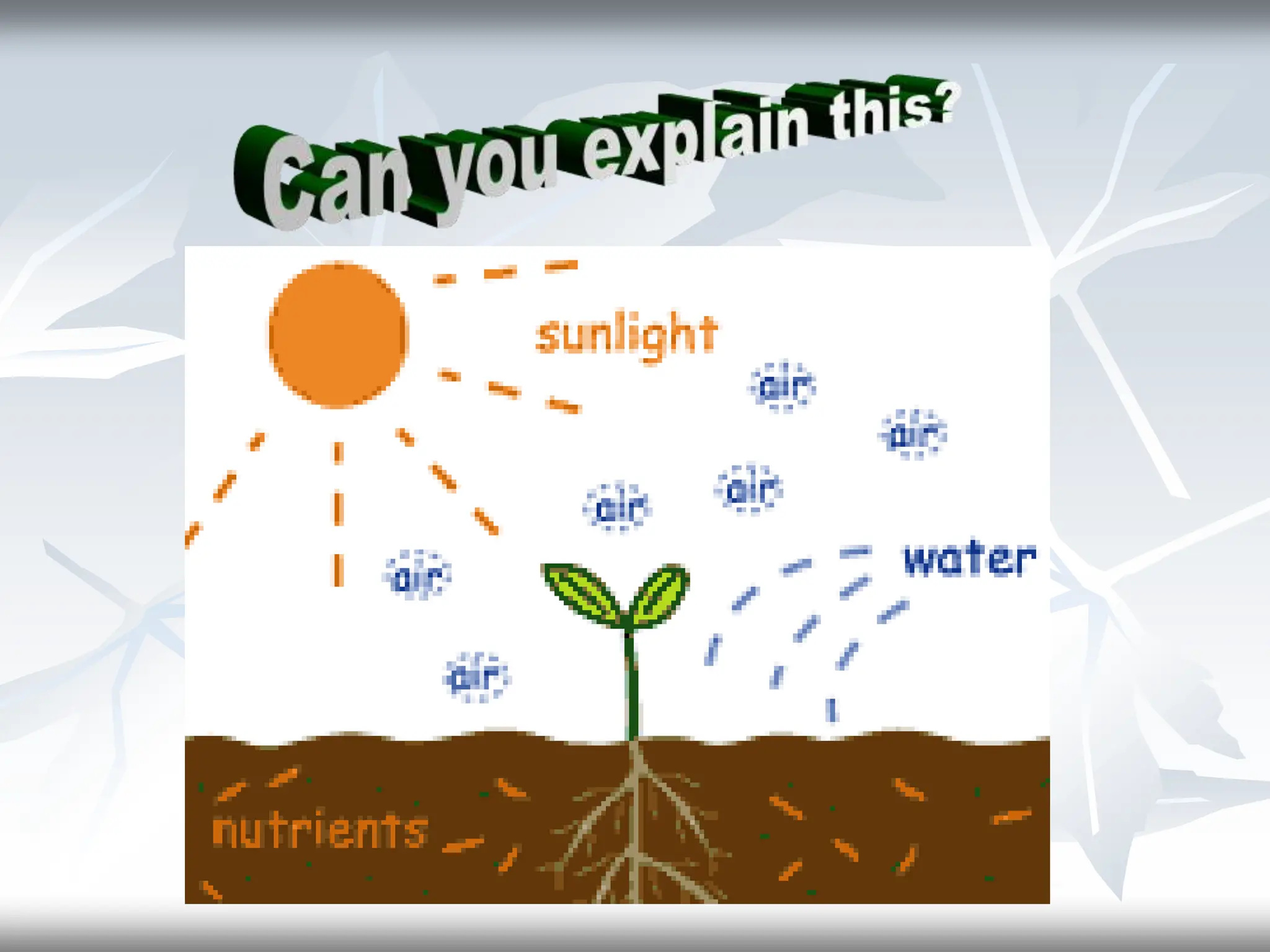 4thgradechapter1lesson1.ppt types of plants | PPT