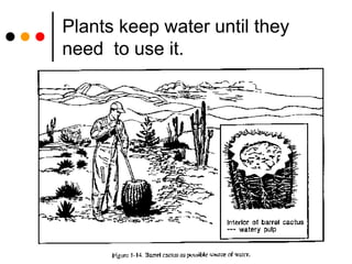 4thgradechapter1lesson2.ppt types of plants | PPT