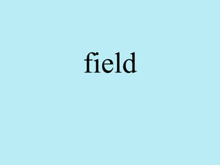 4th grade sight word list powerpoint | PPT