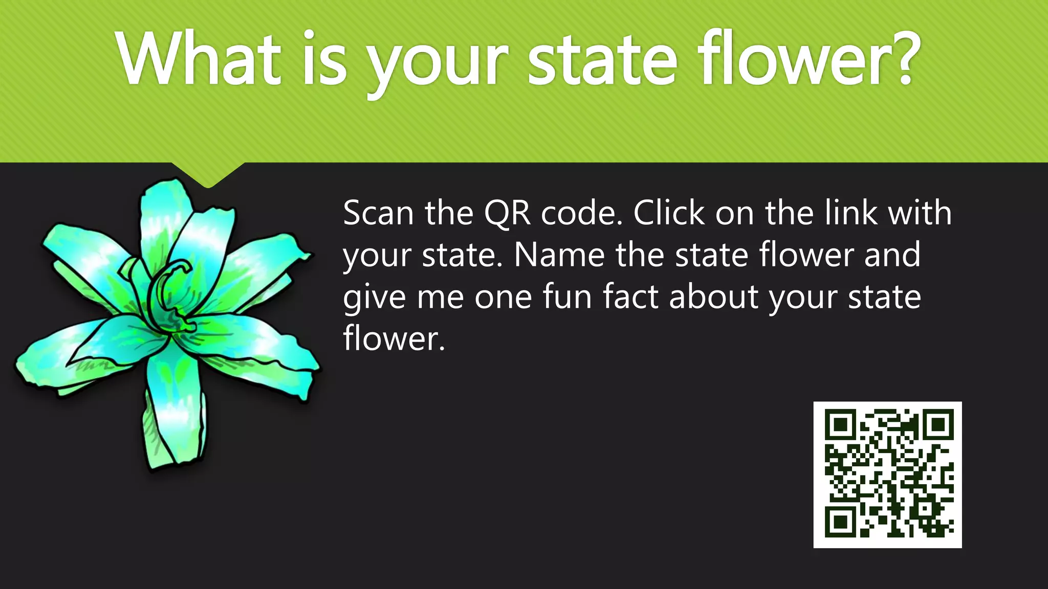 4th grade state project! | PPTX