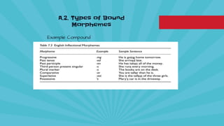 morpheme order studies and monitor model.pptx