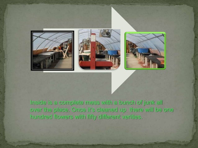 Green house project | PPTX