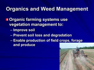Organic Weed Management | PPTX