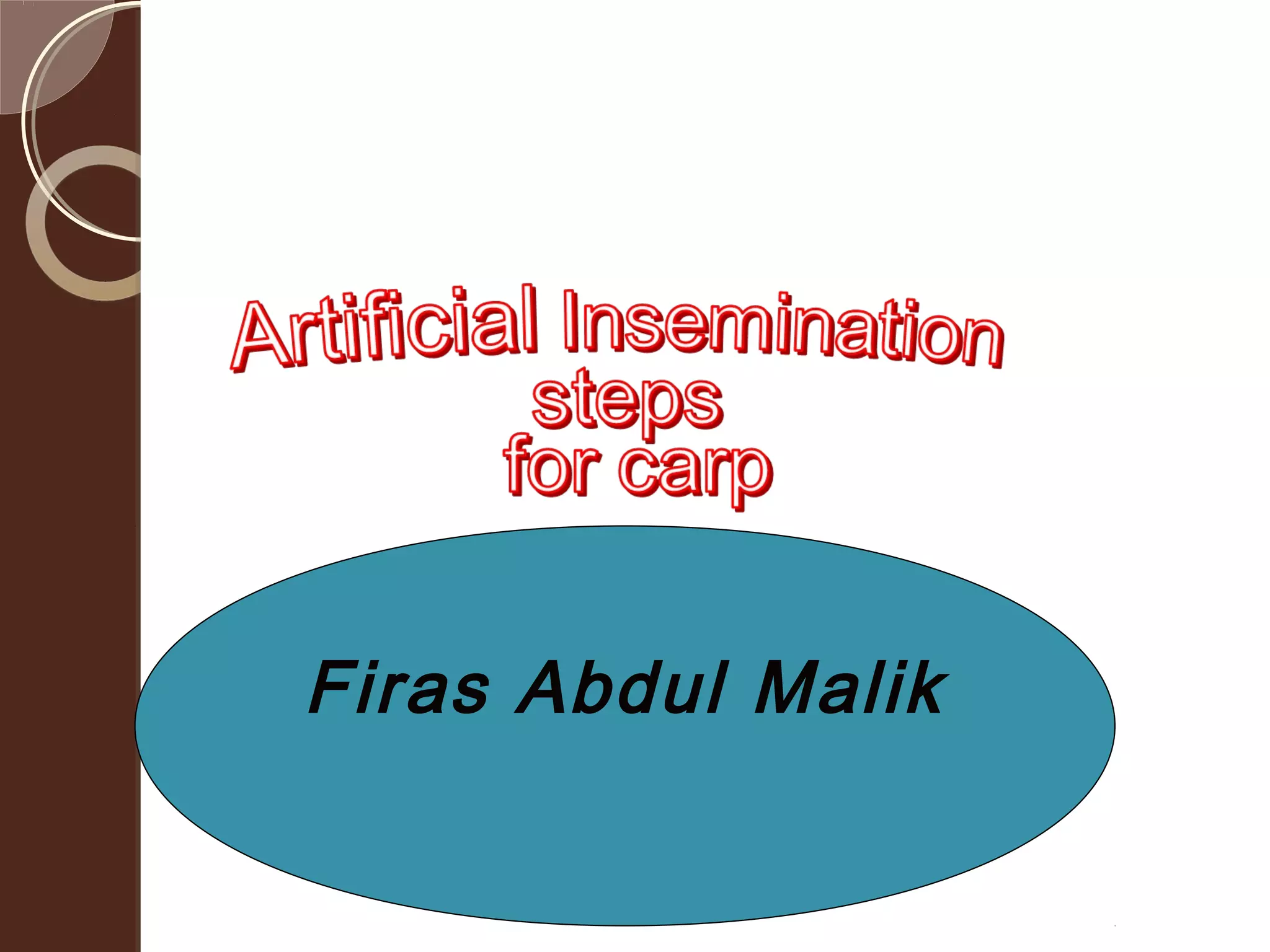 Artificial insemination steps for carp | PPT