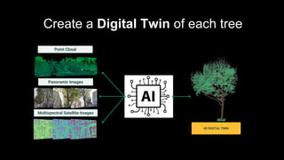 4th Latin America Urban Forestry Conference Using Ai In Smart Tree
