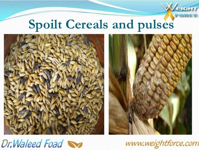 4th lecture Signs of spoilage in fresh and dry food