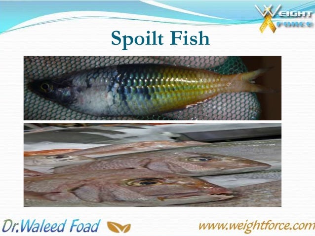 4th lecture Signs of spoilage in fresh and dry food