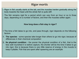 4th lecture 17.3.22 BFTC-601.pptx