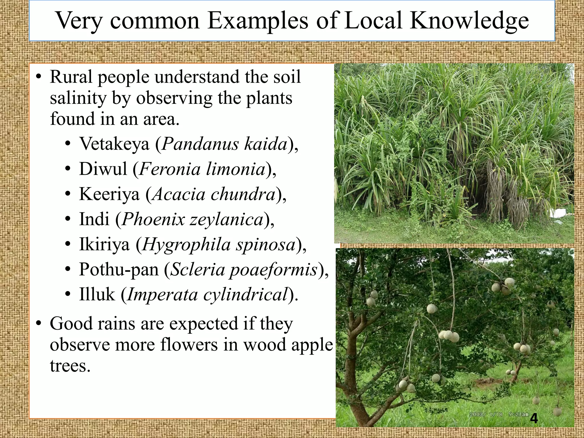 4th lesson traditional agricultural technologies | PDF