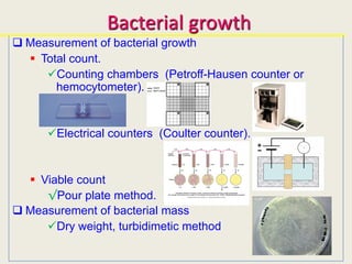 Microbial growth stages | PDF | Biological Sciences | Science