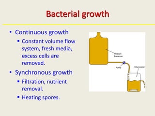 Microbial growth stages | PDF | Biological Sciences | Science