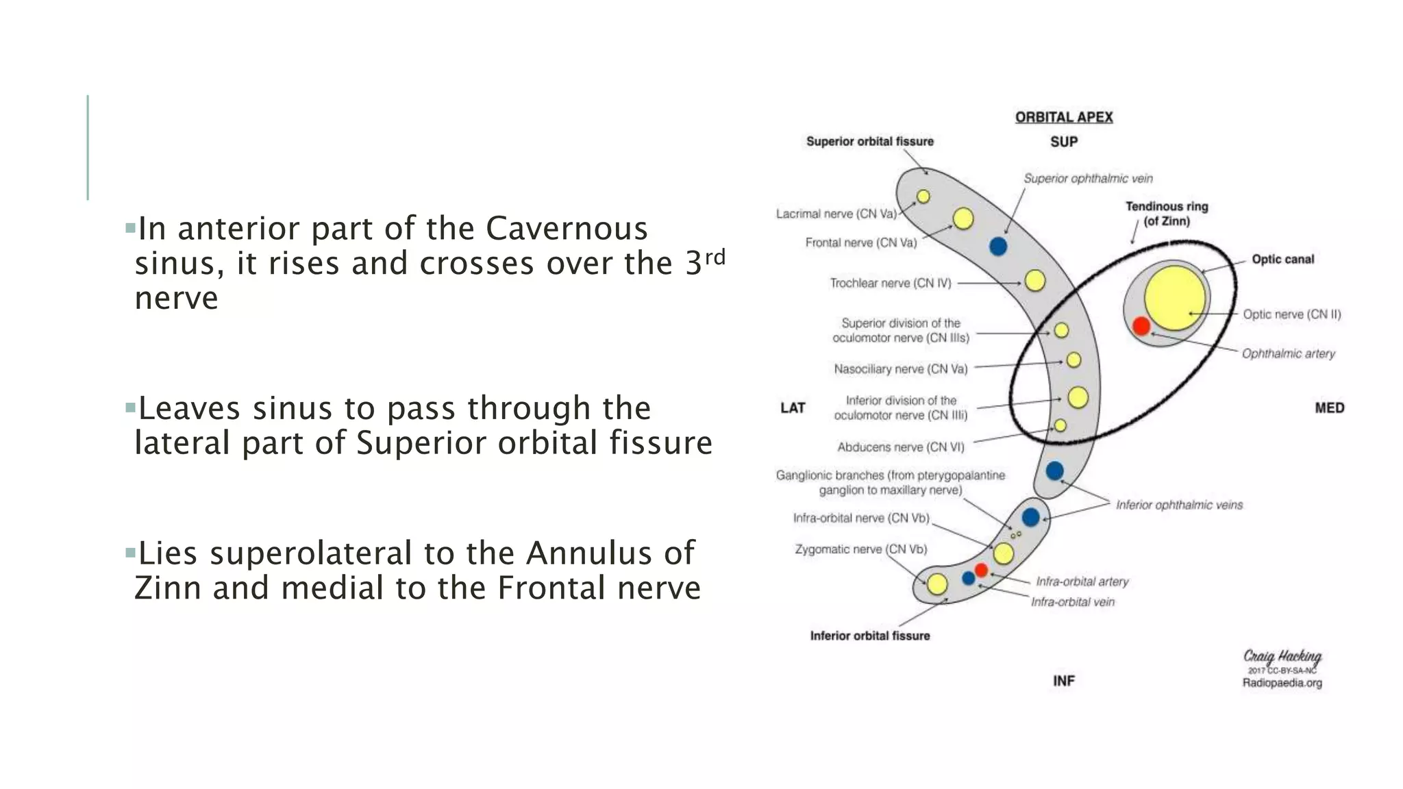 Trochlear nerve | PPTX