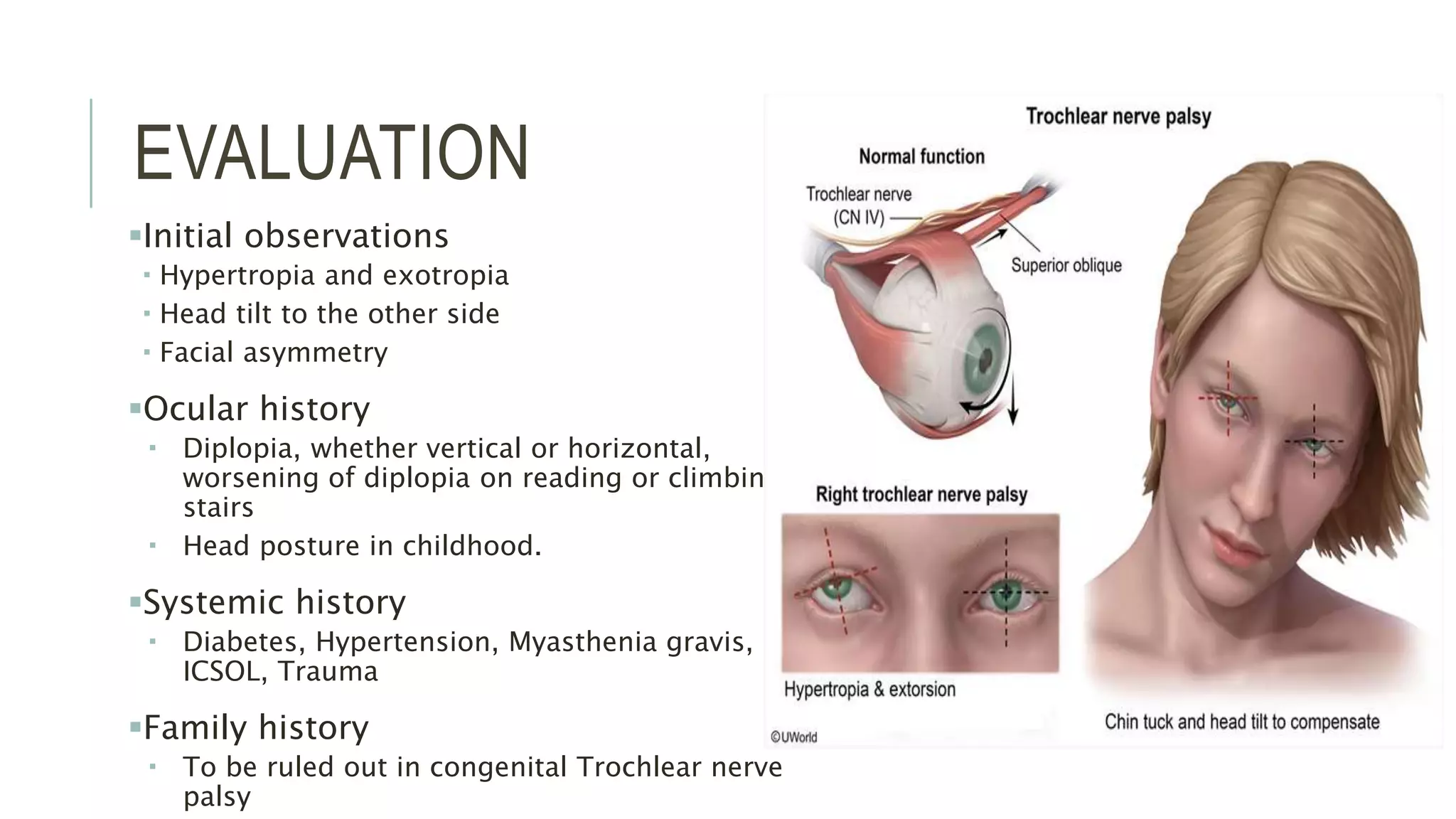 Trochlear nerve | PPTX