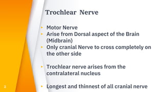 Trochlear nerve | PPTX