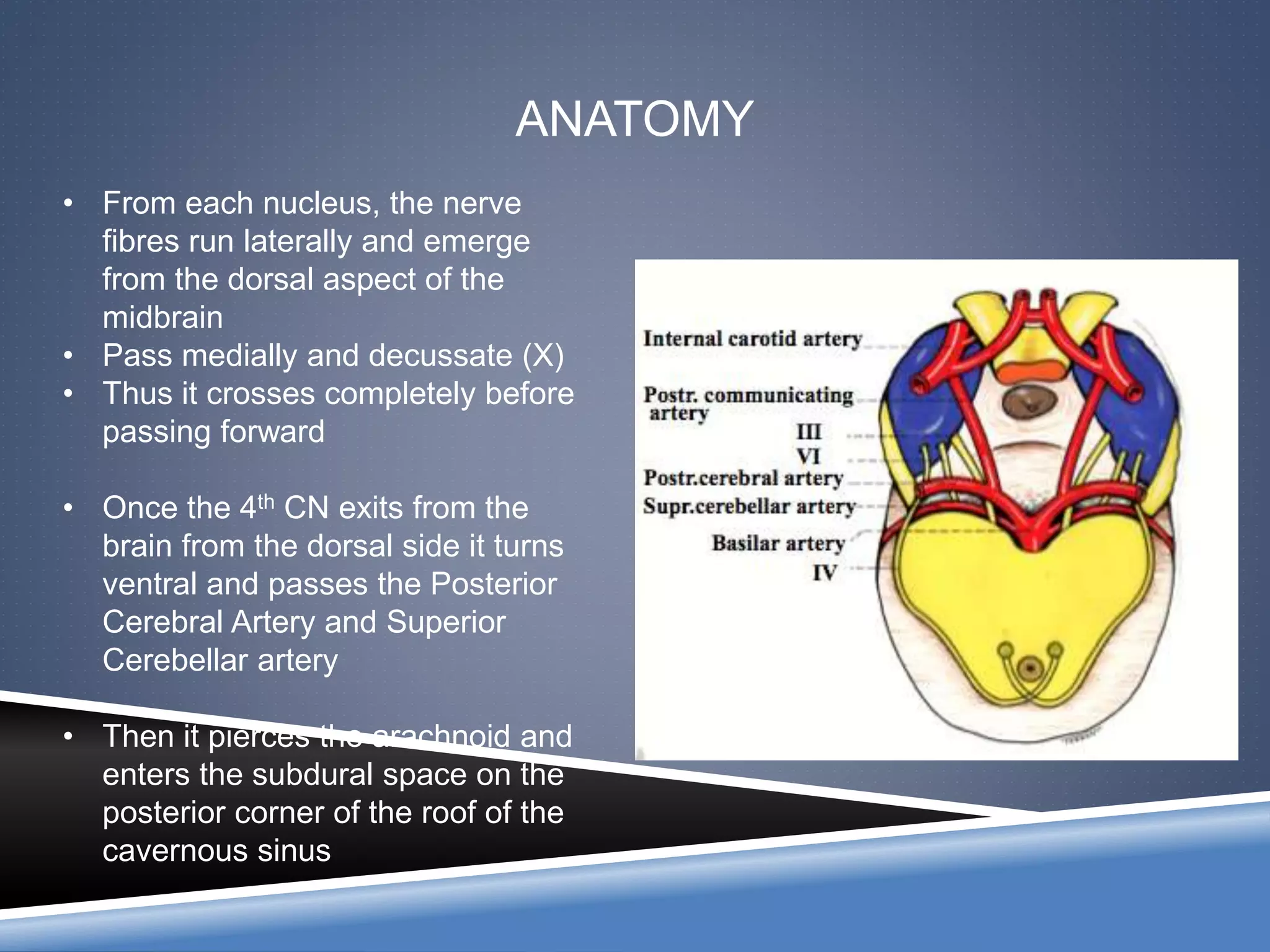 4th nerve palsy | PPTX