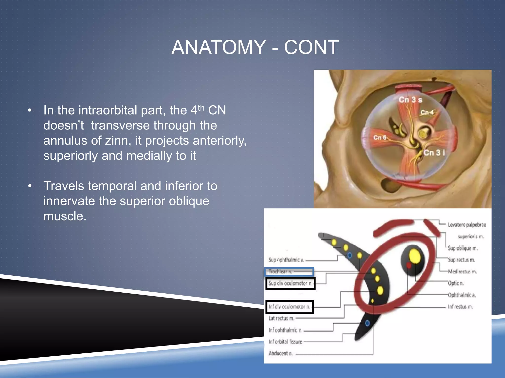4th nerve palsy | PPTX